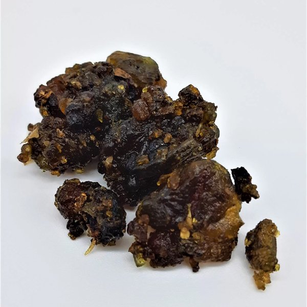 Commiphora Mukul (Guggul) Extract Manufacturer and Supplier